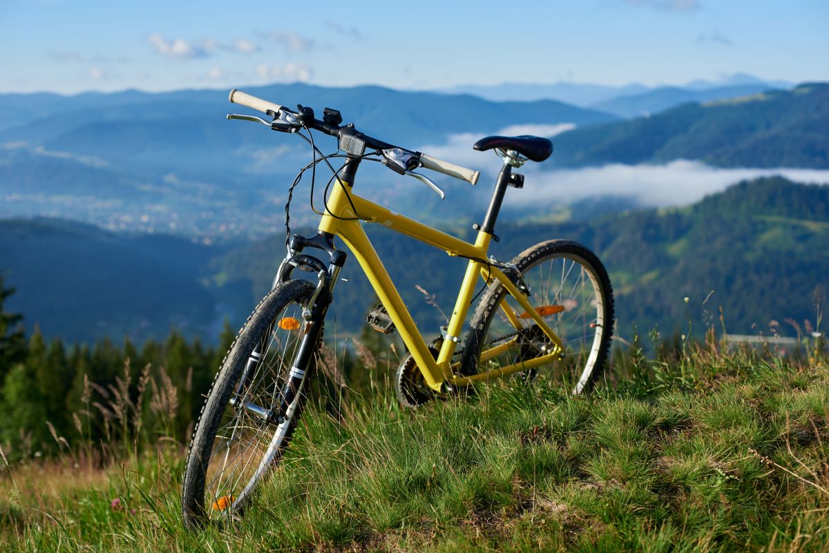Jakie są rodzaje rowerów górskich? - wrzuc.info